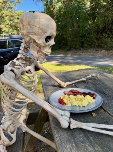 skeleton breakfast – Carole Knits