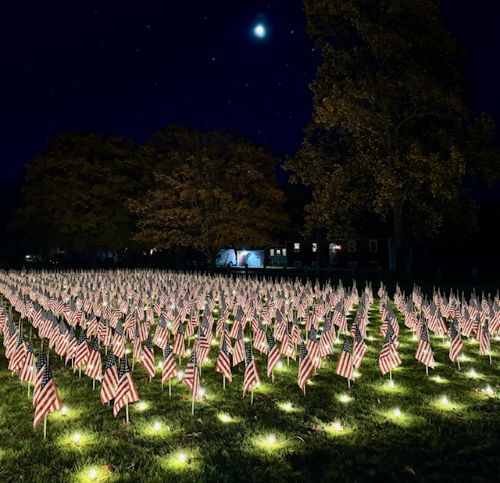 field of flags at night – Carole Knits